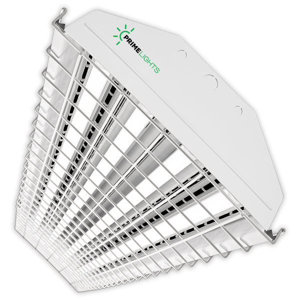 Shop Light With 90 Minute Emergency & Wire Guard Cage Battery Backup ...