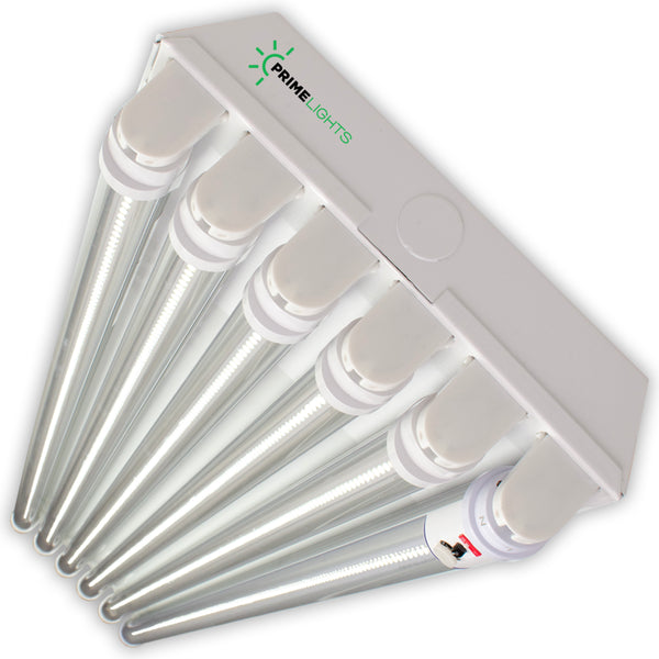 LED 6 Lamp T8 STINGRAY 6XL With 90 Minute Emergency Battery Backup ...