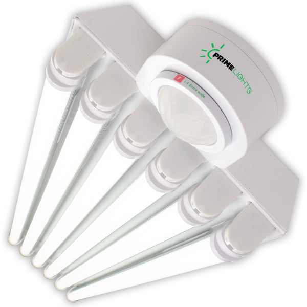 LED 6 Lamp T8 STINGRAY 6XL GEN 2.0: - Motion Activated Occ Sensor ...