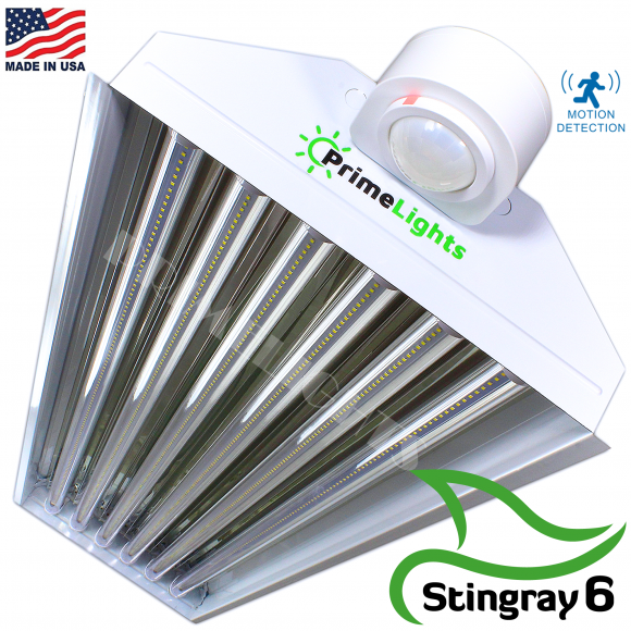 MOTION DETECTOR HIGH BAY LIGHT - LED StingRay 6 by PrimeLights.com