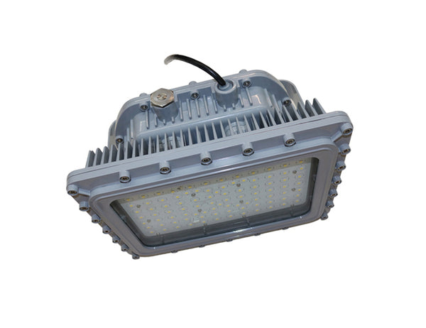 LED Explosion Proof Light Fixtures (D Series) – PrimeLights